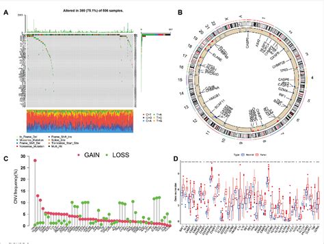 Figure 2 From Developing A Pyroptosis Related Gene Signature To Better