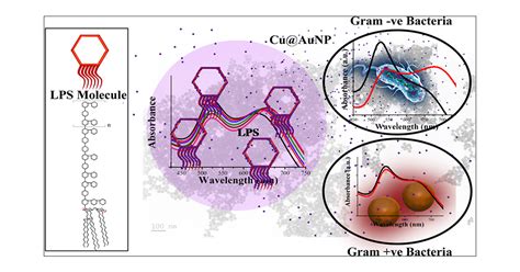Cu2 Mediated Aggregation Of Gold Nanoparticles As An Optical Probe For The Detection Of