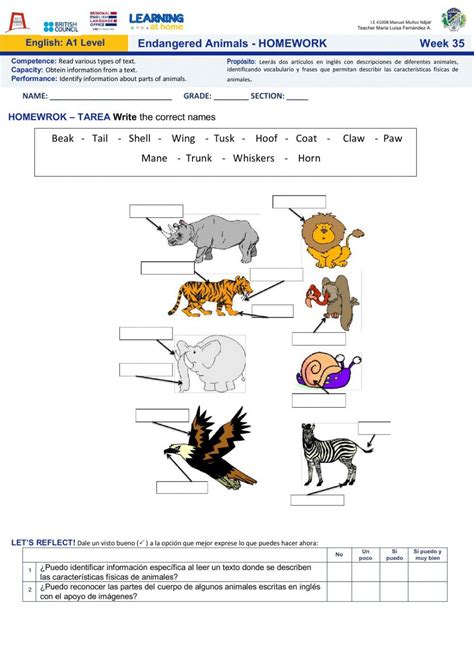 Week35 Endangered Animals Homework Mmn Nivel A1 Worksheet Live