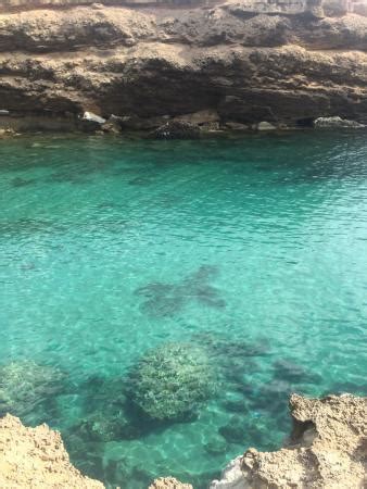 The 5 Best Nador Beaches With Photos Tripadvisor