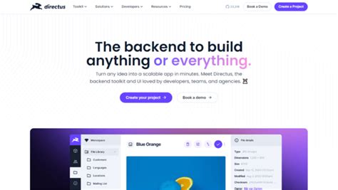 What Is Directus Features Pricing And Alternatives