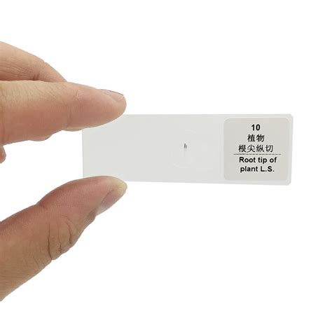 10pcs Prepared Glass Microscope Slides Biological Vicedeal