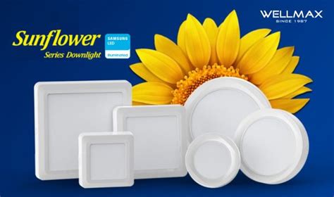 🌻sunflower Series Downlight Gen 2 Quick And Easy Installation And Removal In 2 Seconds Wellmax
