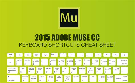 Infographic Adobe Muse