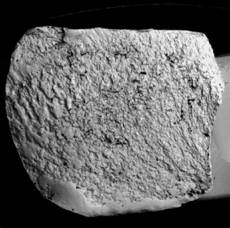 Sem Fractograph Showing The Fracture Surface The Arrow Points To The