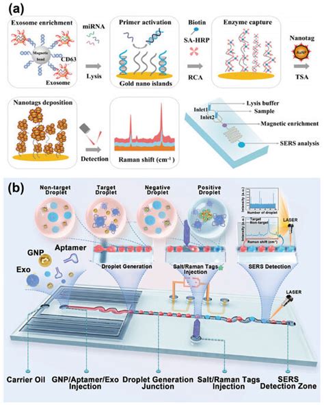 Recent Advances In Aptamer Based Microfluidic Biosensors For The Isolation Signal Amplification