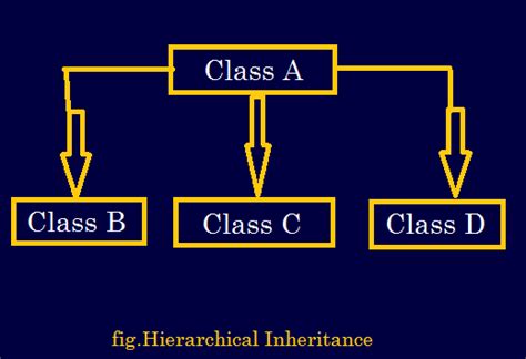 Inheritance In Java Types Of Inheritance And Examples