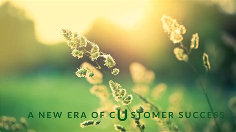 Paradigm Shift Of Customer Success Management