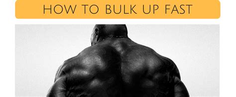How To Bulk Up FAST: Science Of Bulking Up [Sample Diets + Workouts] – Crazy Muscle