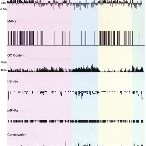 Mars In The Mhc Of Fibroblasts Identified Using Genomic Tiling Path Download Scientific Diagram