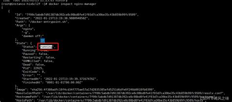Docker 部署nginx 挂载nf配置文件docker启动nginx命令挂载配置文件 Csdn博客