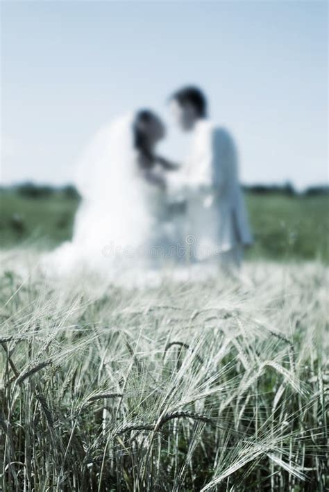 Couple In Field Stock Photo Image Of Meadow Blue Groom 6468688