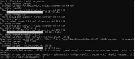 Selenium起動時にwebdriverを自動更新する方法 Python すんさんブログ