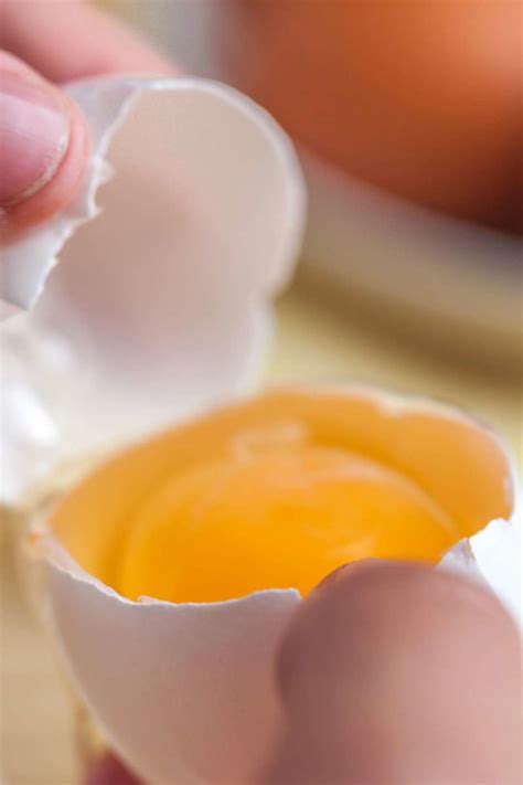 Egg Yolk