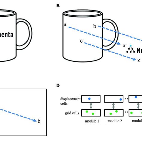 How Grid Cells Represent Location A An Individual Grid Cell