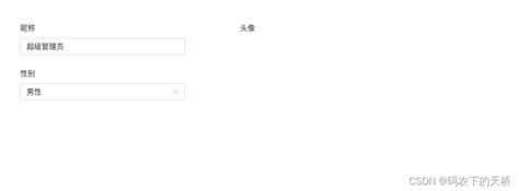 Ngalain下使用nz Select与文件上传框出现灵异bug