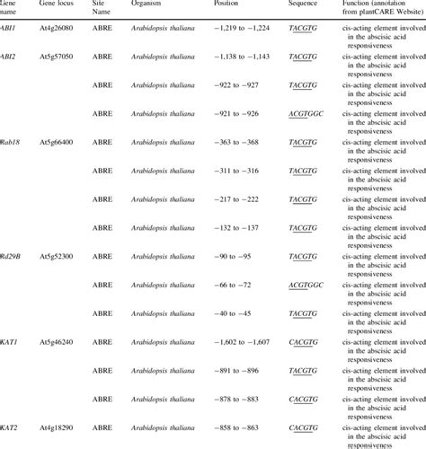promoter sequence analysis of up regulated or down regulated genes by