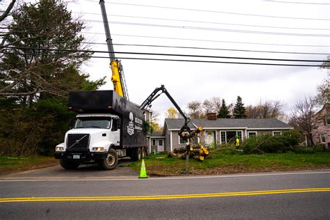 Tree And Stump Removal Services Southern Nh Me And Ma Seacoast Tree