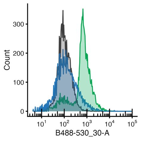 r weekly 2025 w24 containerizing shiny ggplot2 explorer quickr