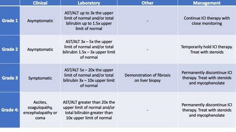 Pathology Pearls Immune Checkpoint Inhibitor Hepatitis Aasld