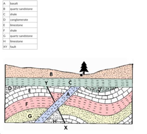 GLG Exam Flashcards Quizlet