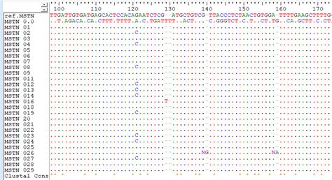 The Bioedit Program Used To Alignment The 3rd Exon Of Mstn Gene All