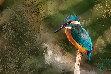 Adobe Photoshop Assignment Skillshare Student Project