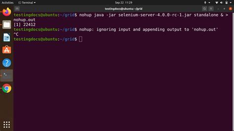 Run Selenium Grid In Background On Linux TestingDocs Com