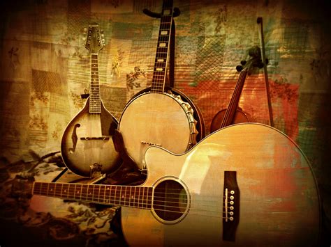 Bluegrass Instruments2