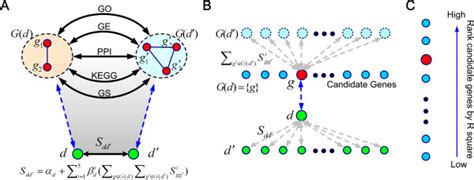 Scheme Of Bridge A A Multiple Linear Regression Model Is Proposed To Download Scientific