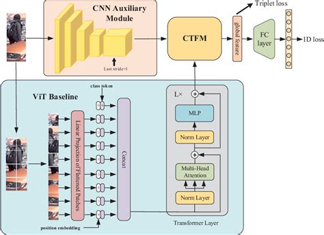 Figure 1 From Convolutional And Transformer Fusion Network Based On Cross Attention For Occluded