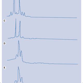 X Ray Diffraction Patterns Download Scientific Diagram
