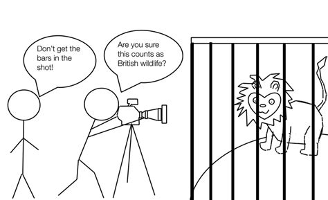 Rewilding A Branding Issue Typical Of Today