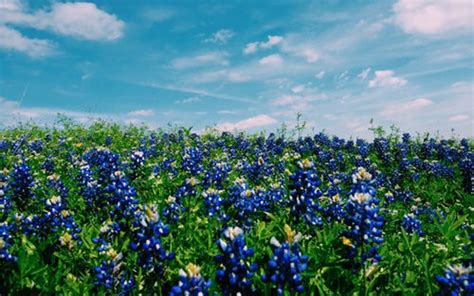 How To Use Hibernate Natural Ids In Spring Boot