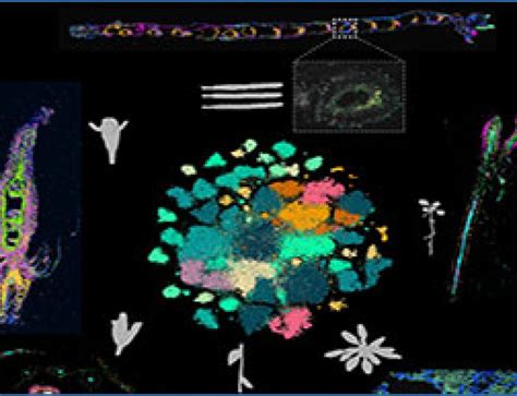 Rna Seq Basics Applications And Protocol Rna Seq Blog