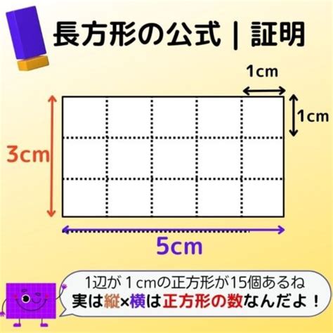 小4 長方形の面積の求め方｜対角線についても解説 数学のトムラボ