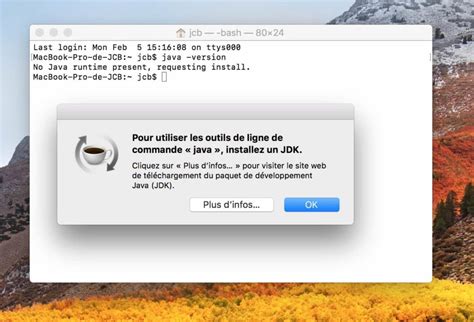 Installer Java Macos High Sierra 1013 Mode Demploi Macbookcity