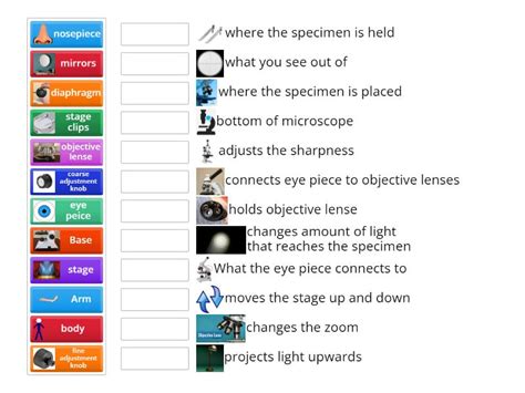 Parts Of A Microscope Match Up