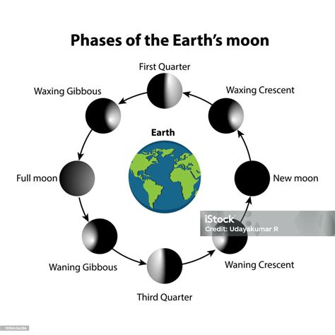 Vector Illustration Of Moon Phases Diagram On A White Background Stock