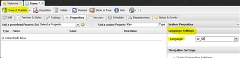 How To Localize Pimcore Stack Overflow