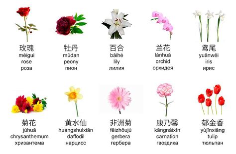Новости | Chinese posters, Chinese language, Language