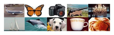 Picture Instances In The Caltech 101 Dataset Download Scientific Diagram