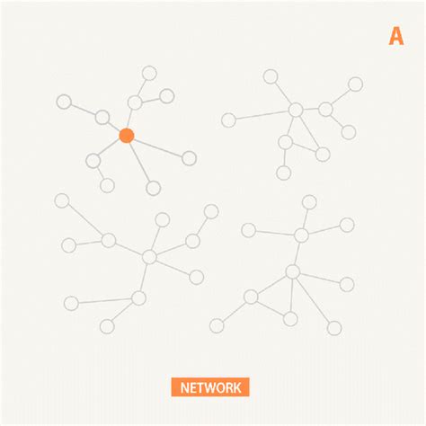 chapter 3 how algorithms diffuse and amplify misinformation