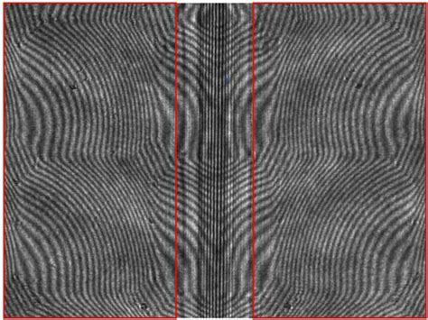 The Slightly Off Axis Holograms Of Microlens Array Download Scientific Diagram