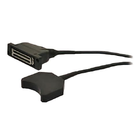 Immersion Curved Array Probe Small H Rohloff
