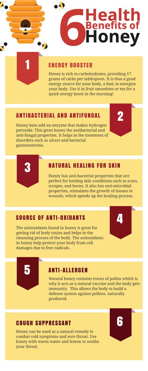 6 Health Benefits Of Honey Infographic Zizira Explorers