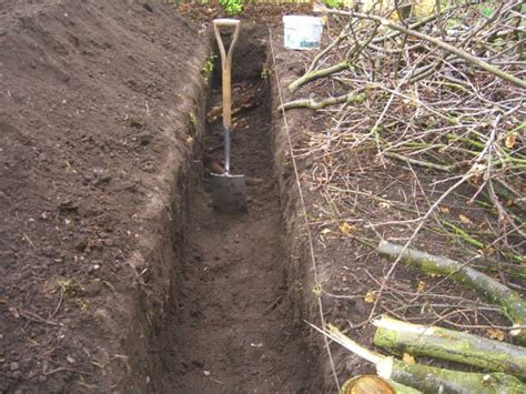 Парник для огурцов своими руками: самые лучшие проекты