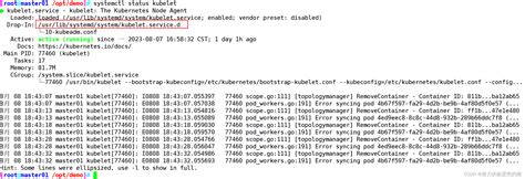 K8s Pod详解 Csdn博客