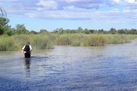 Cewh Welcomes Mdbas Basin Plan Evaluation Dcceew