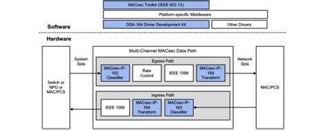 Macsec Ip 163 164 Security Ip Rambus